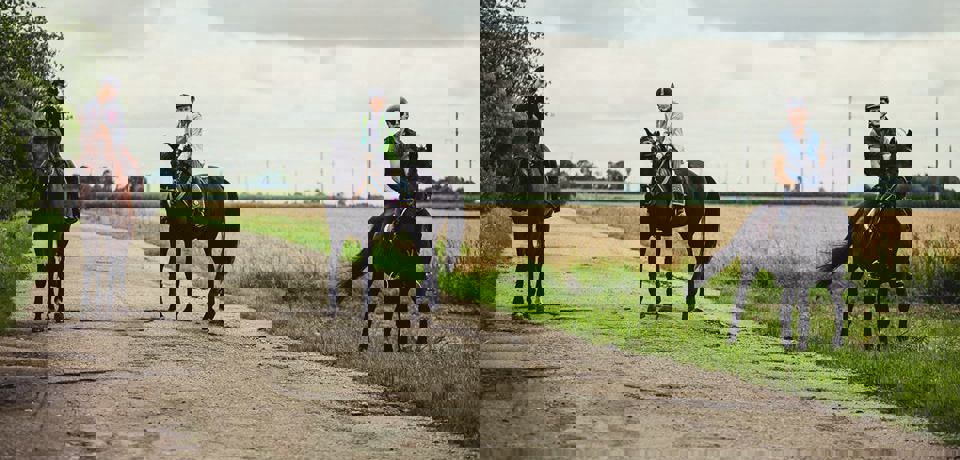 Jojimo klubas "Ulonai" | pamatykLietuvoje.lt - kelionių po Lietuvą portalas