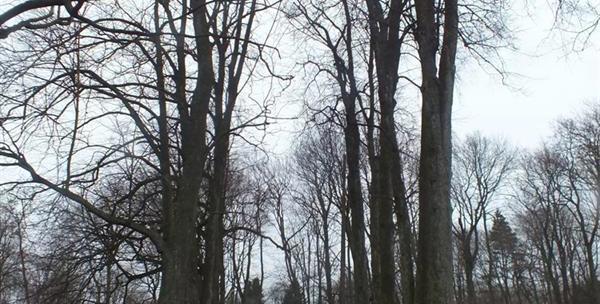 Kvietiškio dvaro sodyba su parku | pamatykLietuvoje.lt - kelionių po ...