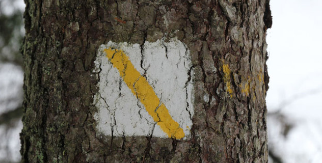 Drevinės bitininkystės takas | pamatykLietuvoje.lt - kelionių po ...